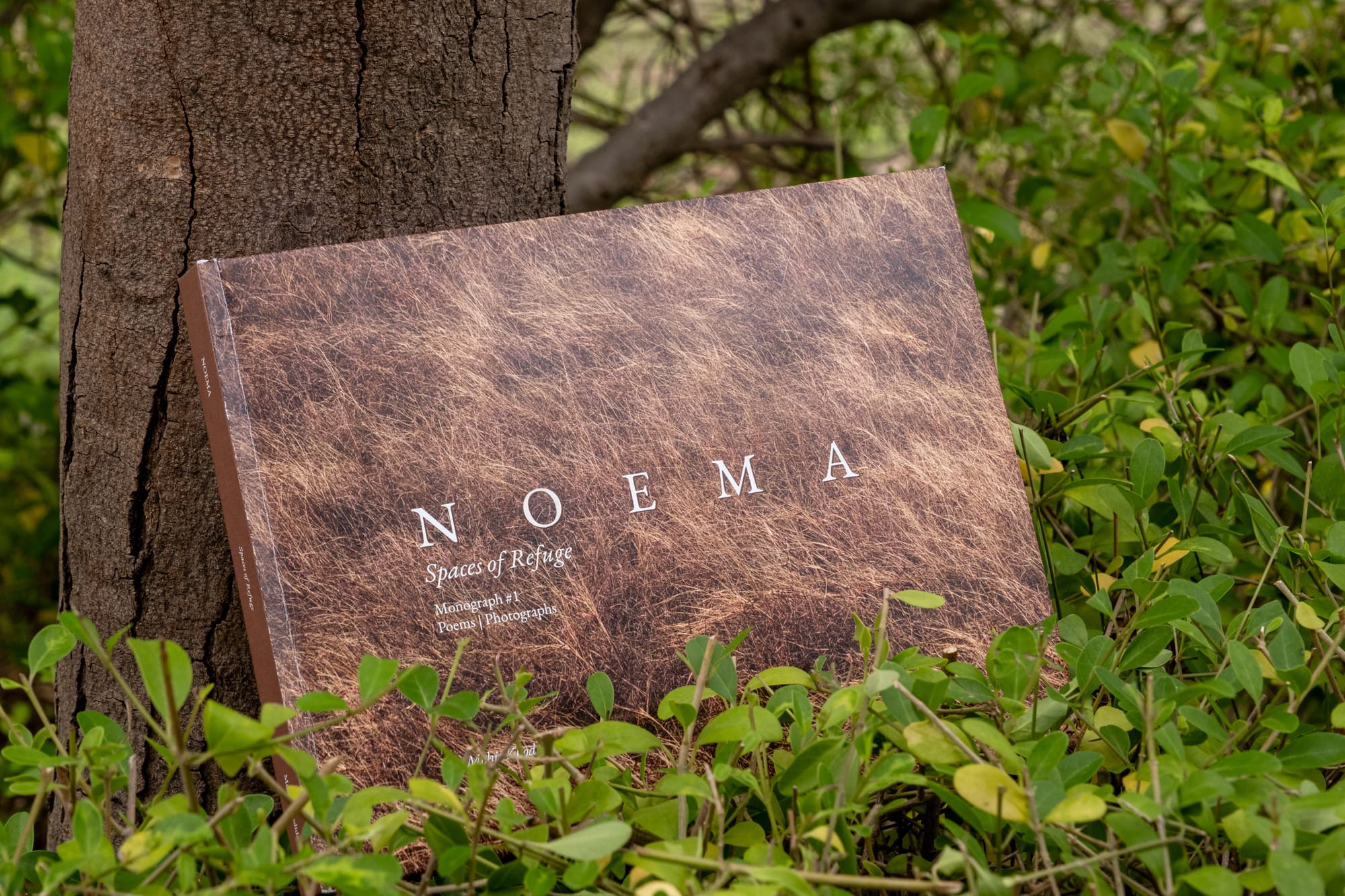 Noema - Available Now